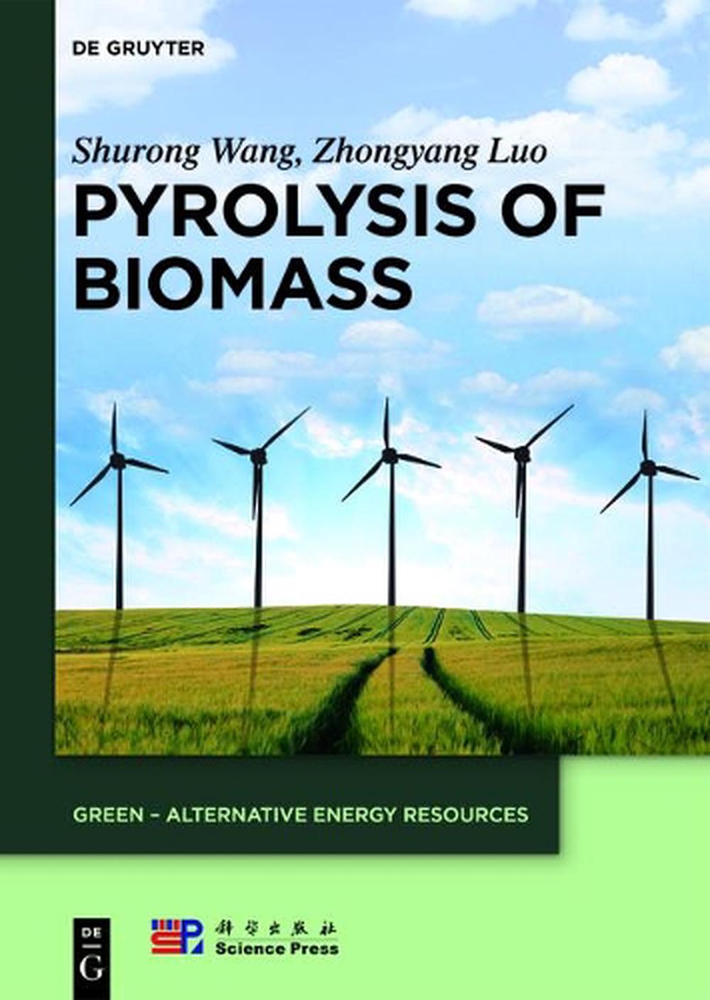 Pyrolysis of Biomass by Shurong Wang, Hardcover, 9783110374575 | Buy ...