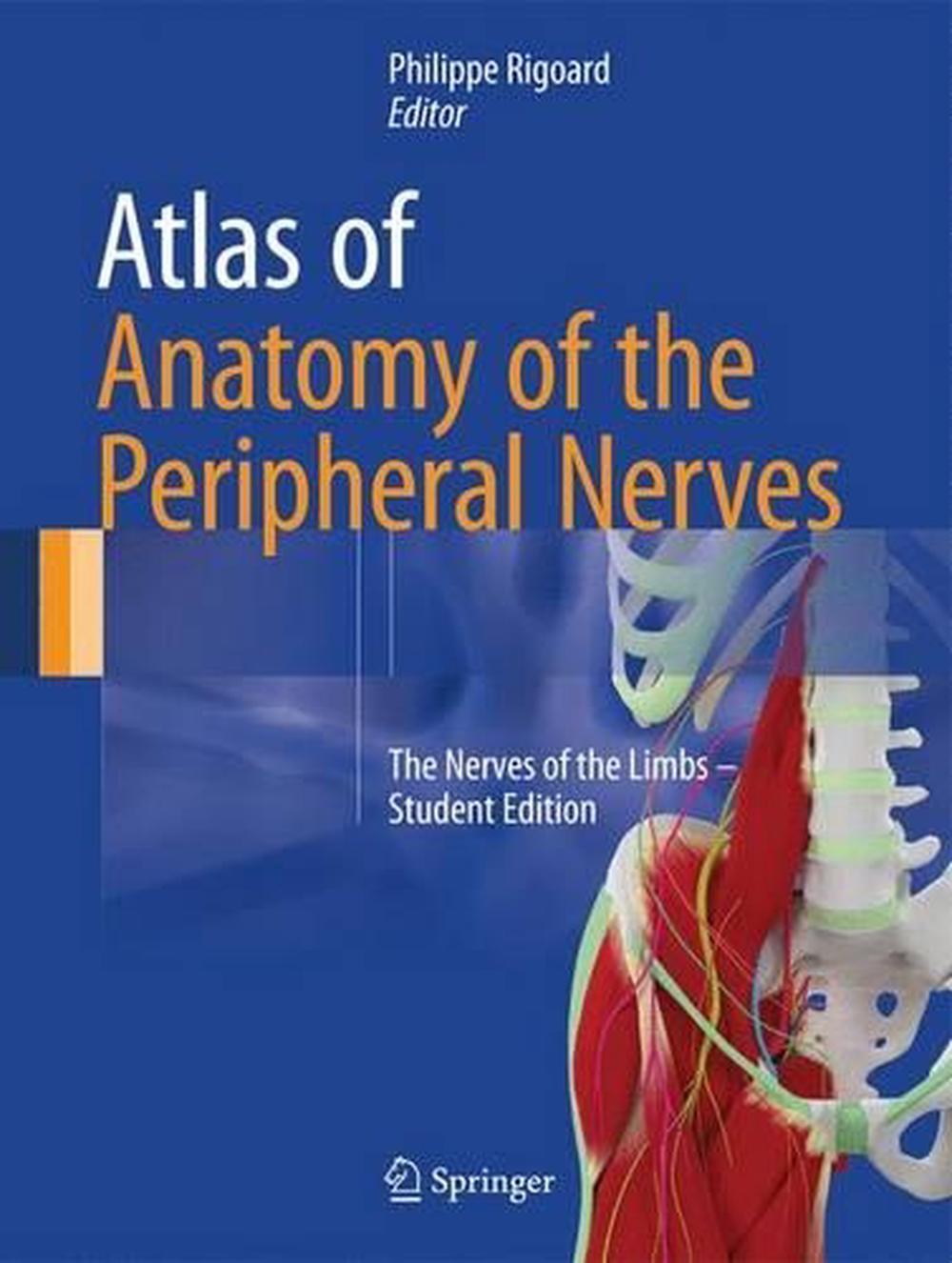 Atlas of Anatomy of the Peripheral Nerves, 1st Edition by Philippe ...