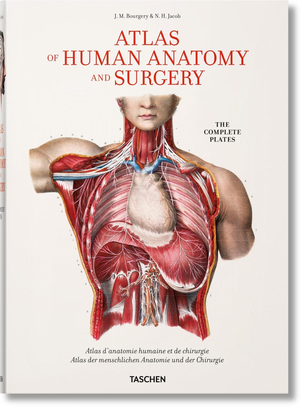 Bourgery Atlas Of Human Anatomy And Surgery By Jean marie Le Minor bourgery-atlas-of-human-anatomy-and-surgery-by-jean-marie-le-minor