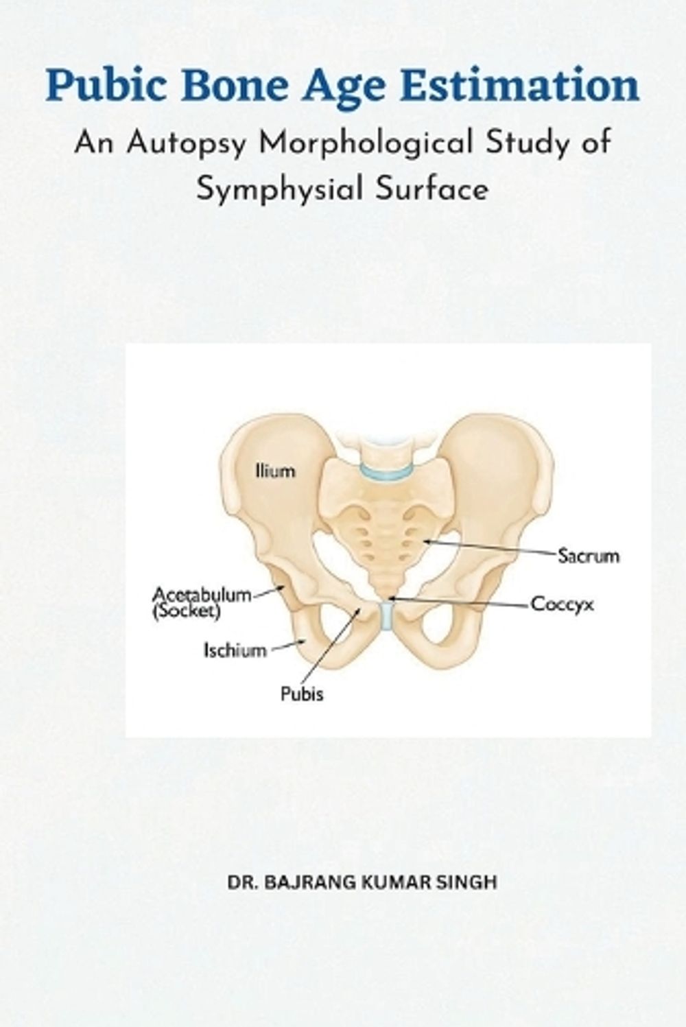 Pubic Bone Age Estimation An Autopsy Morphological Study of Symphysial ...