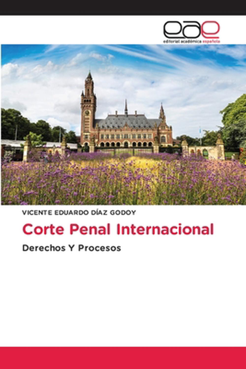 Corte Penal Internacional by Vicente Eduardo Díaz Godoy, Paperback ...