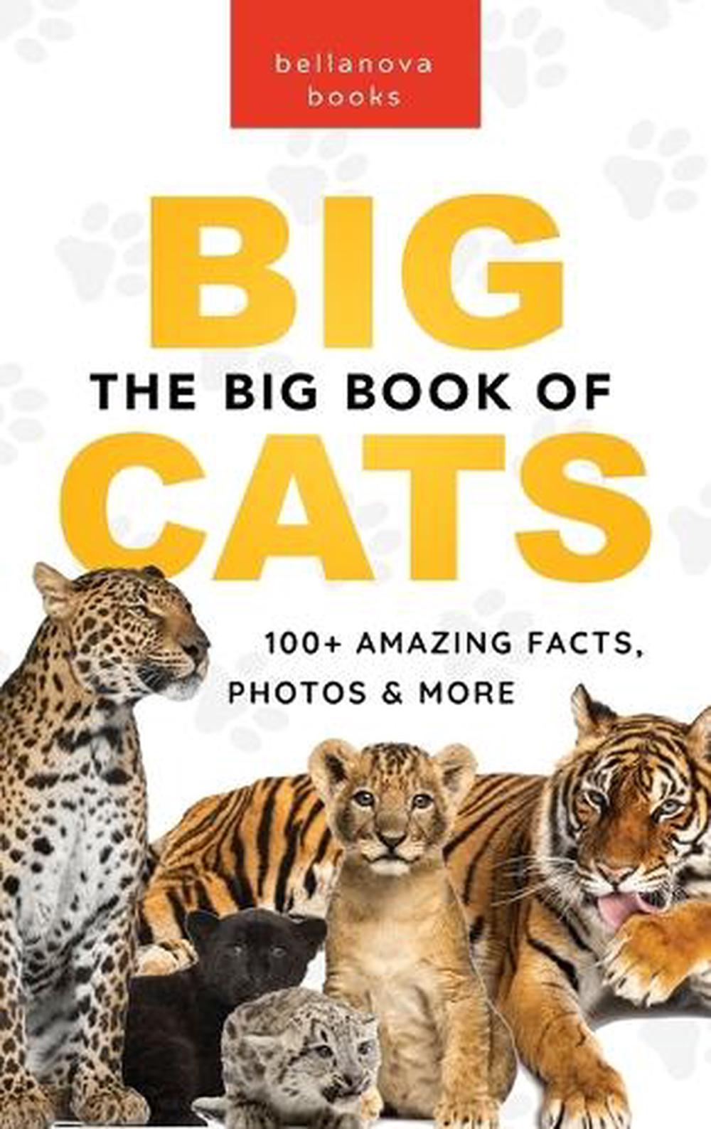 The Big Book of Big Cats by Jenny Kellett, Hardcover, 9786192640644 | Buy online at The Nile