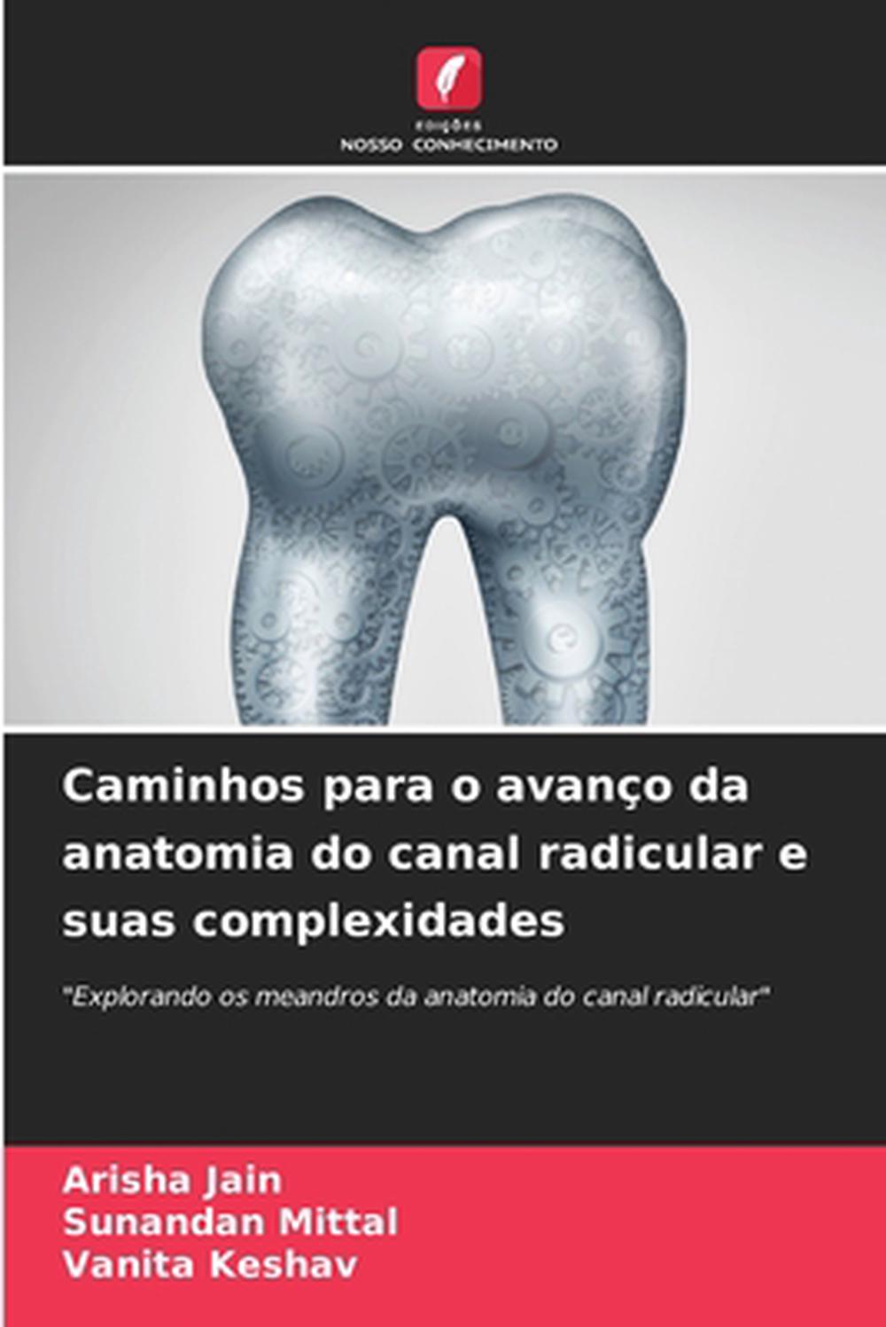 Caminhos para o avanço da anatomia do canal radicular e suas ...