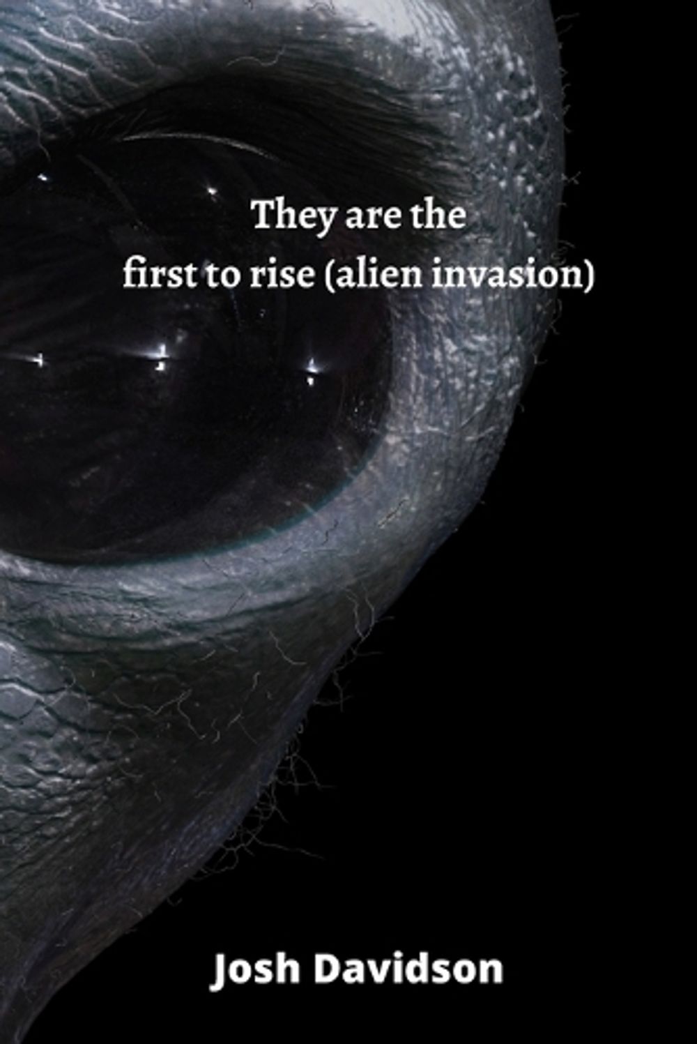 They are the first to rise (alien invasion) by Josh Davidson, Paperback ...