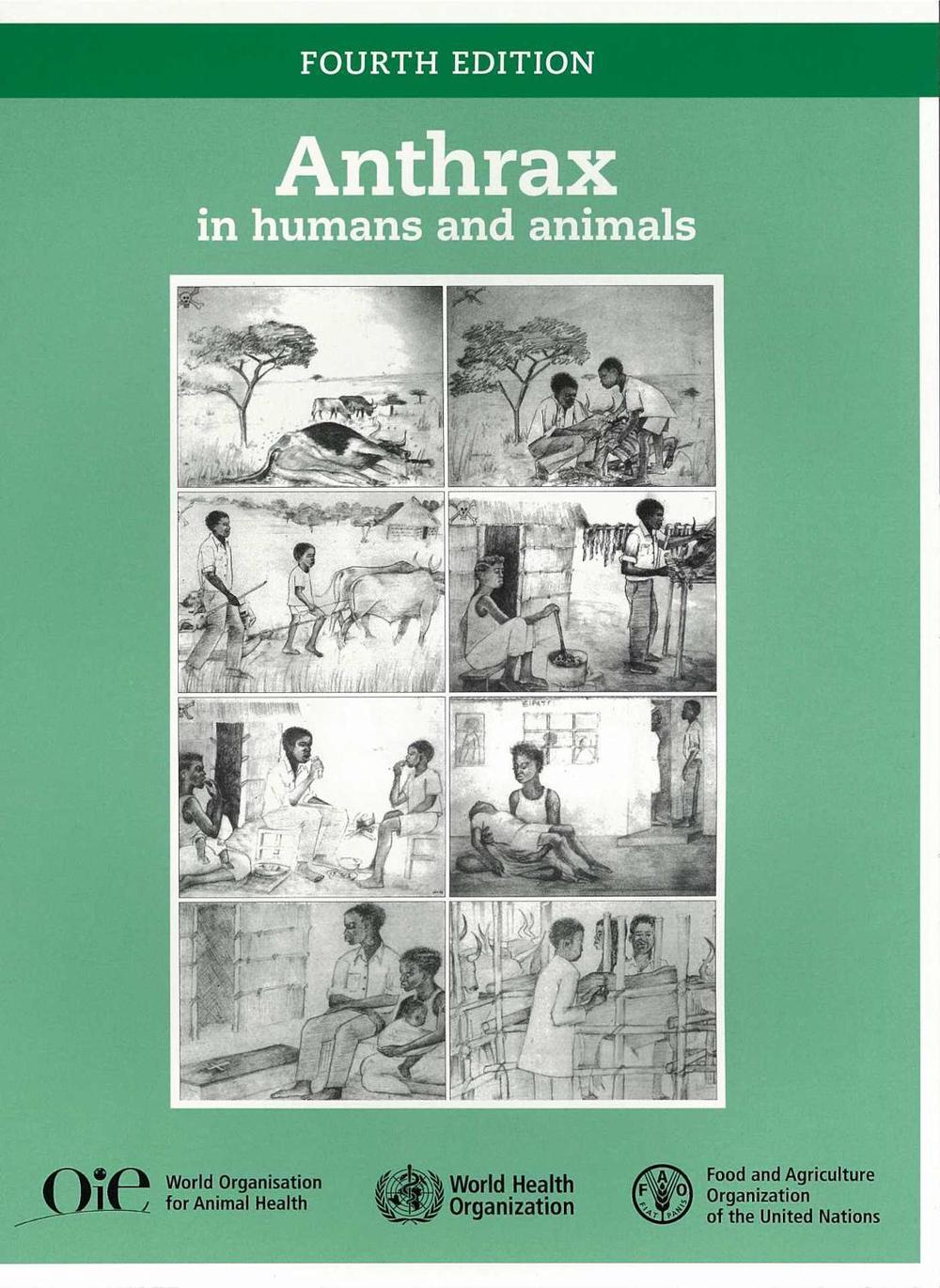 Anthrax in Humans and Animals by Who, Paperback, 9789241547536 | Buy ...