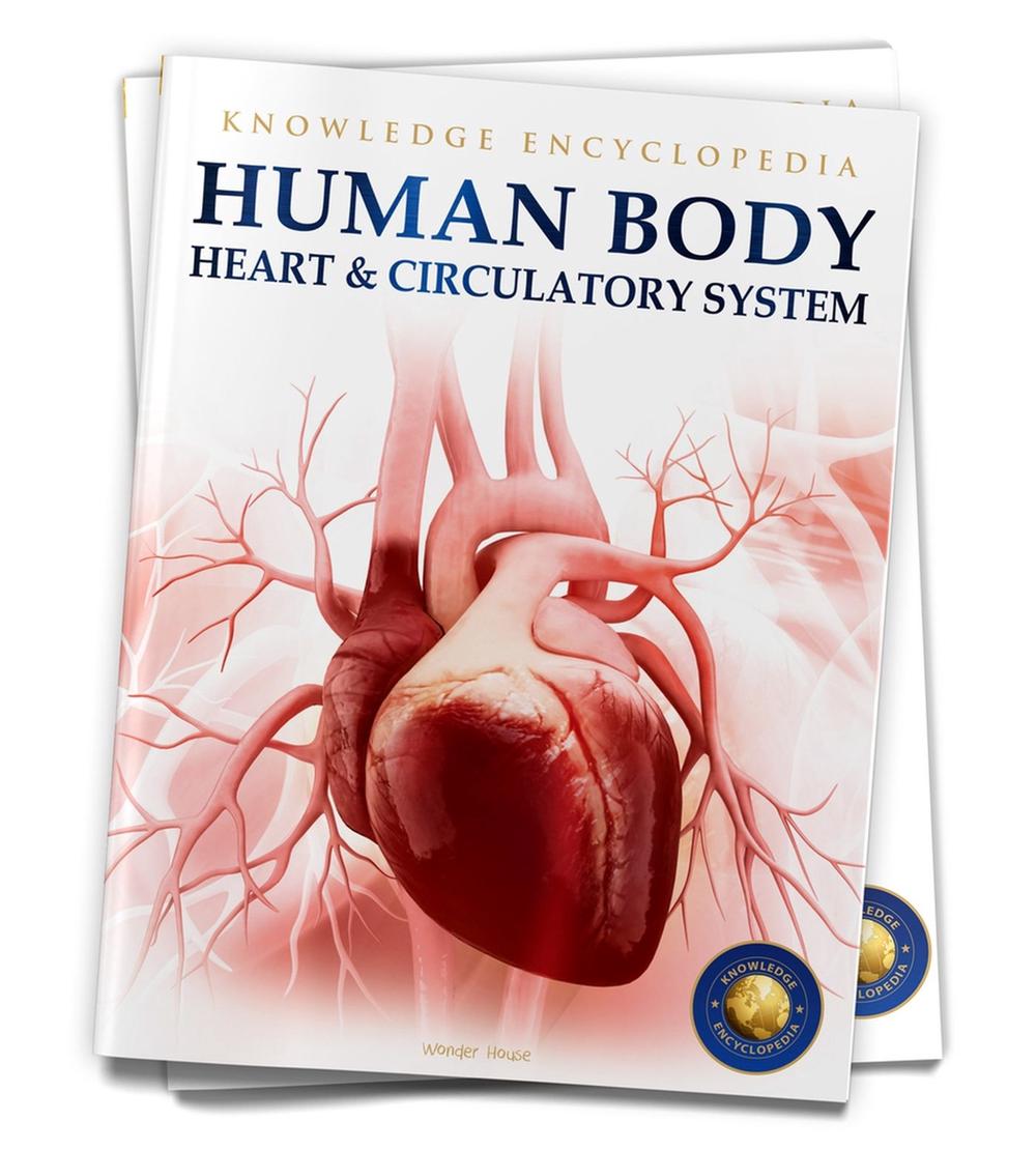 Human Body by Wonder House Books, Paperback, 9789389931204 | Buy online ...