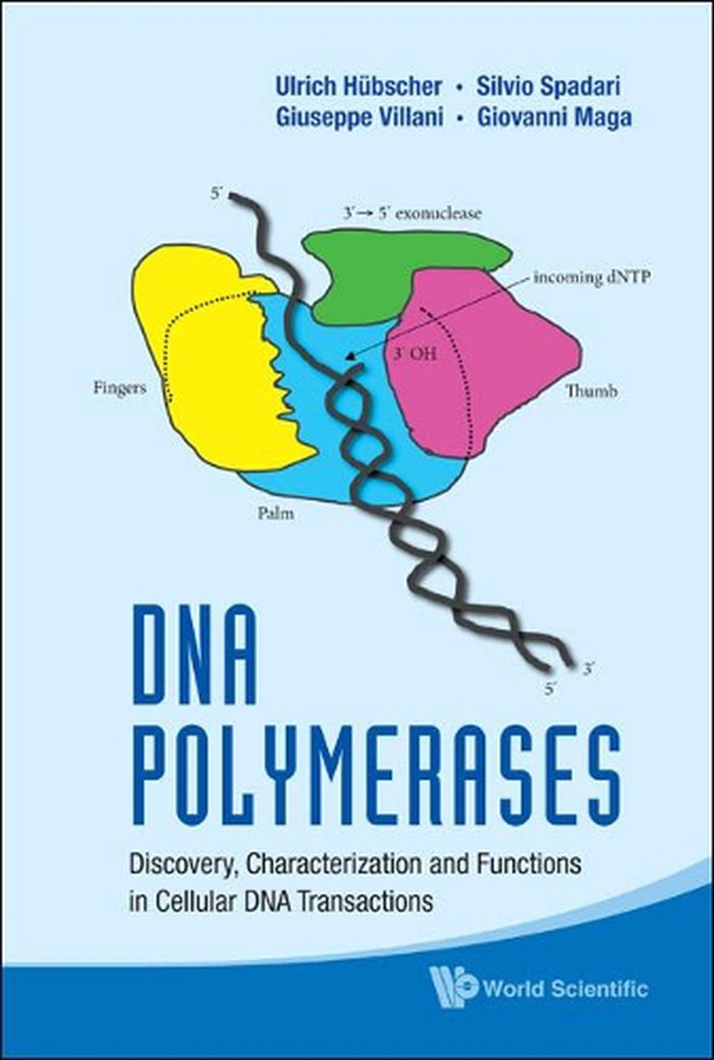 Dna Polymerases: Discovery, Characterization and Functions in Cellular ...