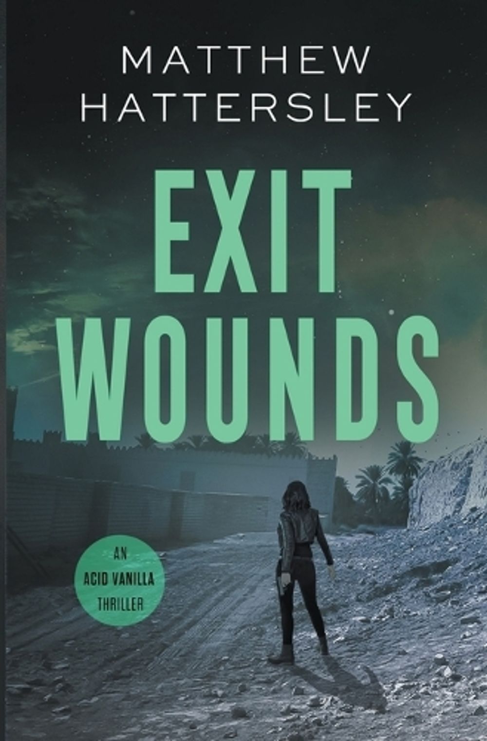 Exit Wounds by Matthew Hattersley, Paperback, 9798224147052 | Buy ...