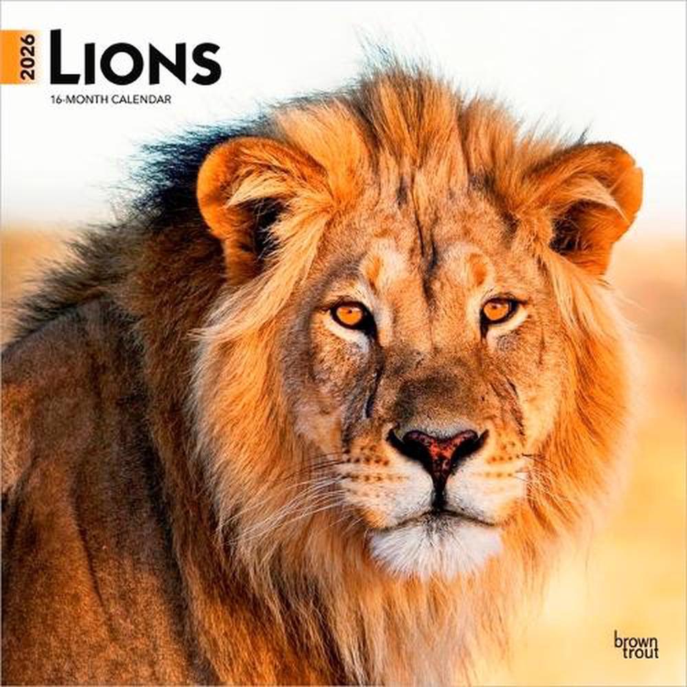 Lions 2026 12 X 24 Inch (Hanging) Monthly Square Wall Calendar Plastic ...