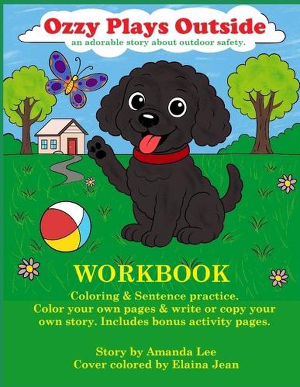 Ozzy Plays Outside -Workbook by Amanda Lee, Paperback, 9798349523830 ...