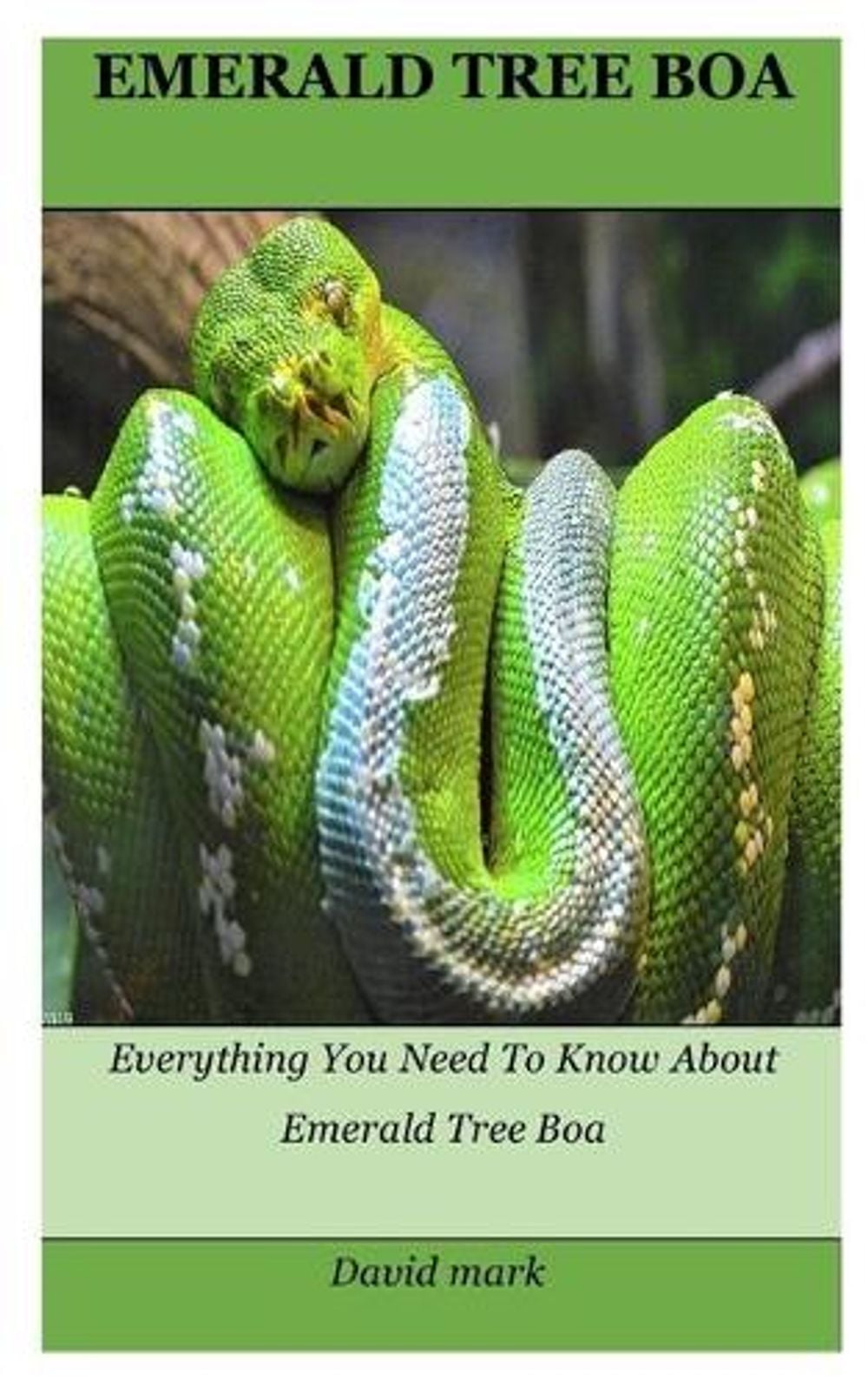 Emerald Tree Boa: Everything You Need To Know About Emerald Tree Boa by ...