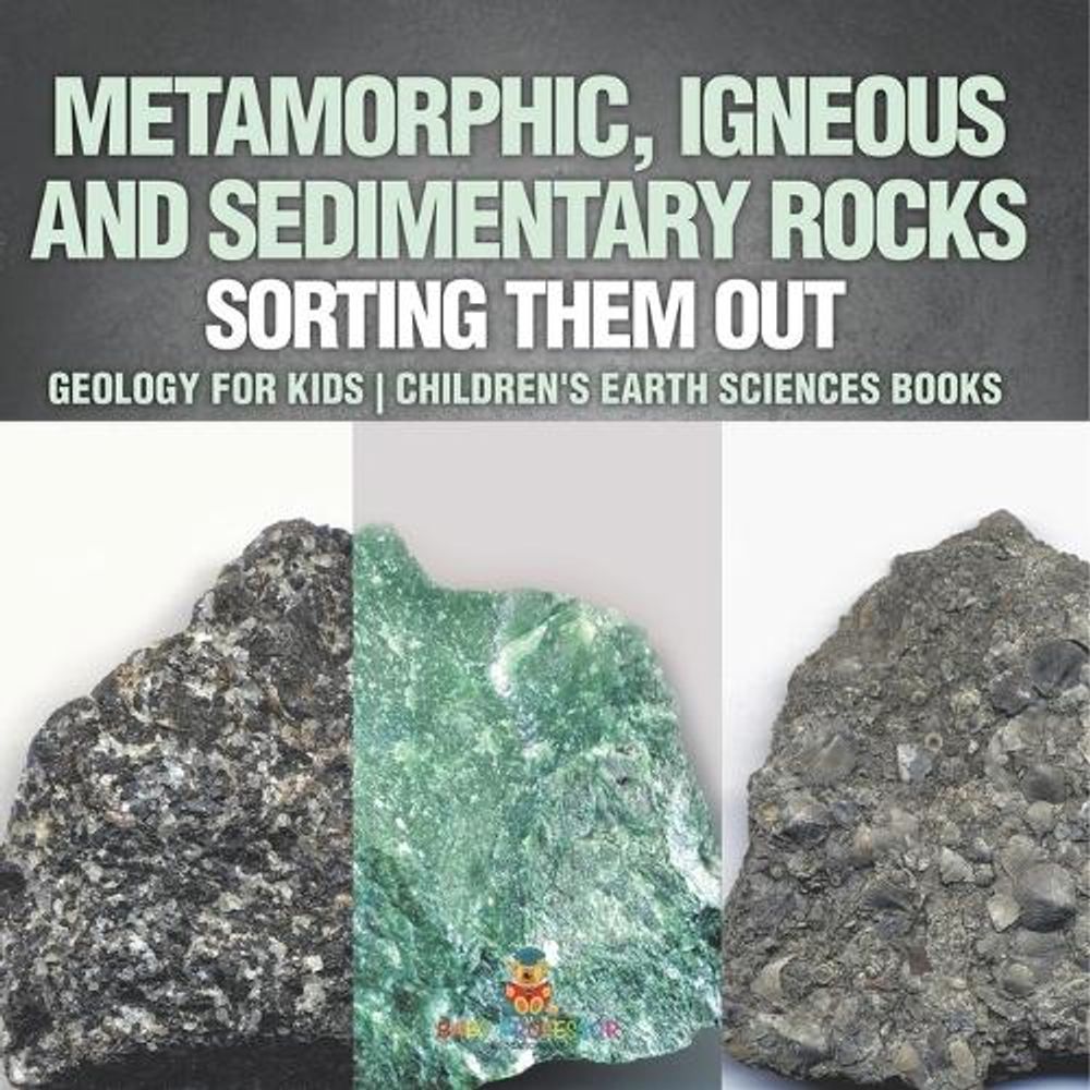 Metamorphic, Igneous and Sedimentary Rocks by Baby Professor, Paperback ...