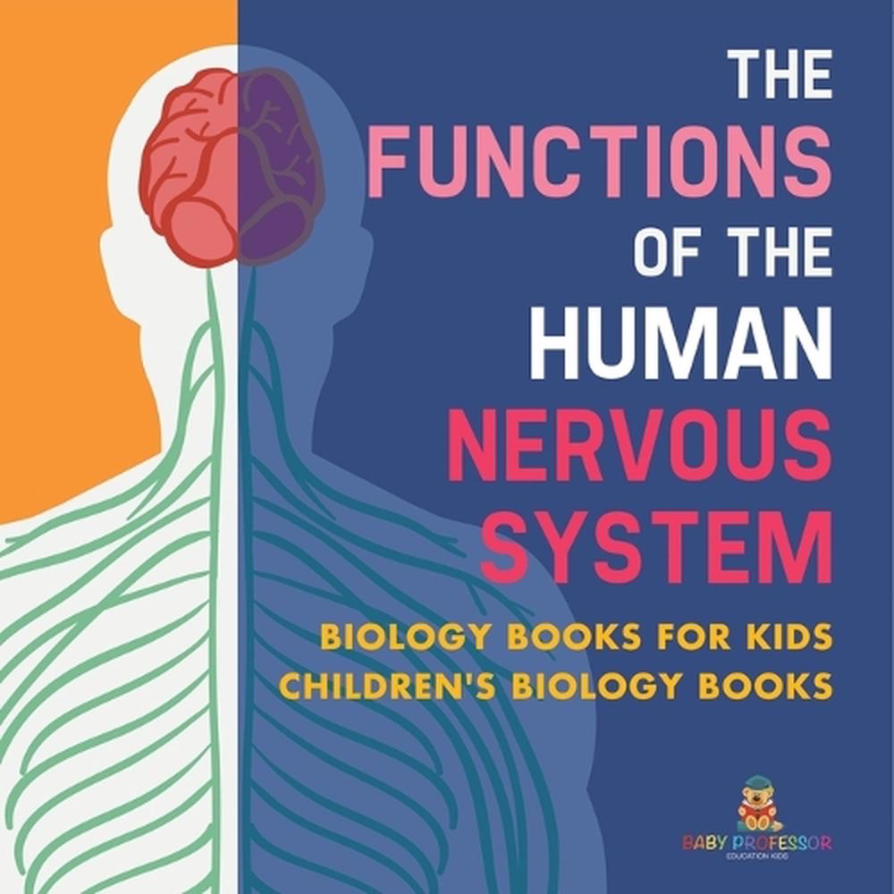 The Functions of the Human Nervous System - Biology Books for Kids ...