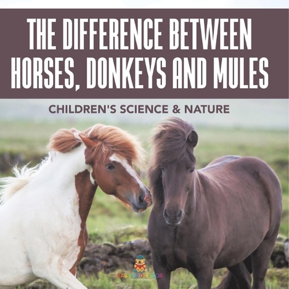 The Difference Between Horses, Donkeys and Mules Children's Science ...