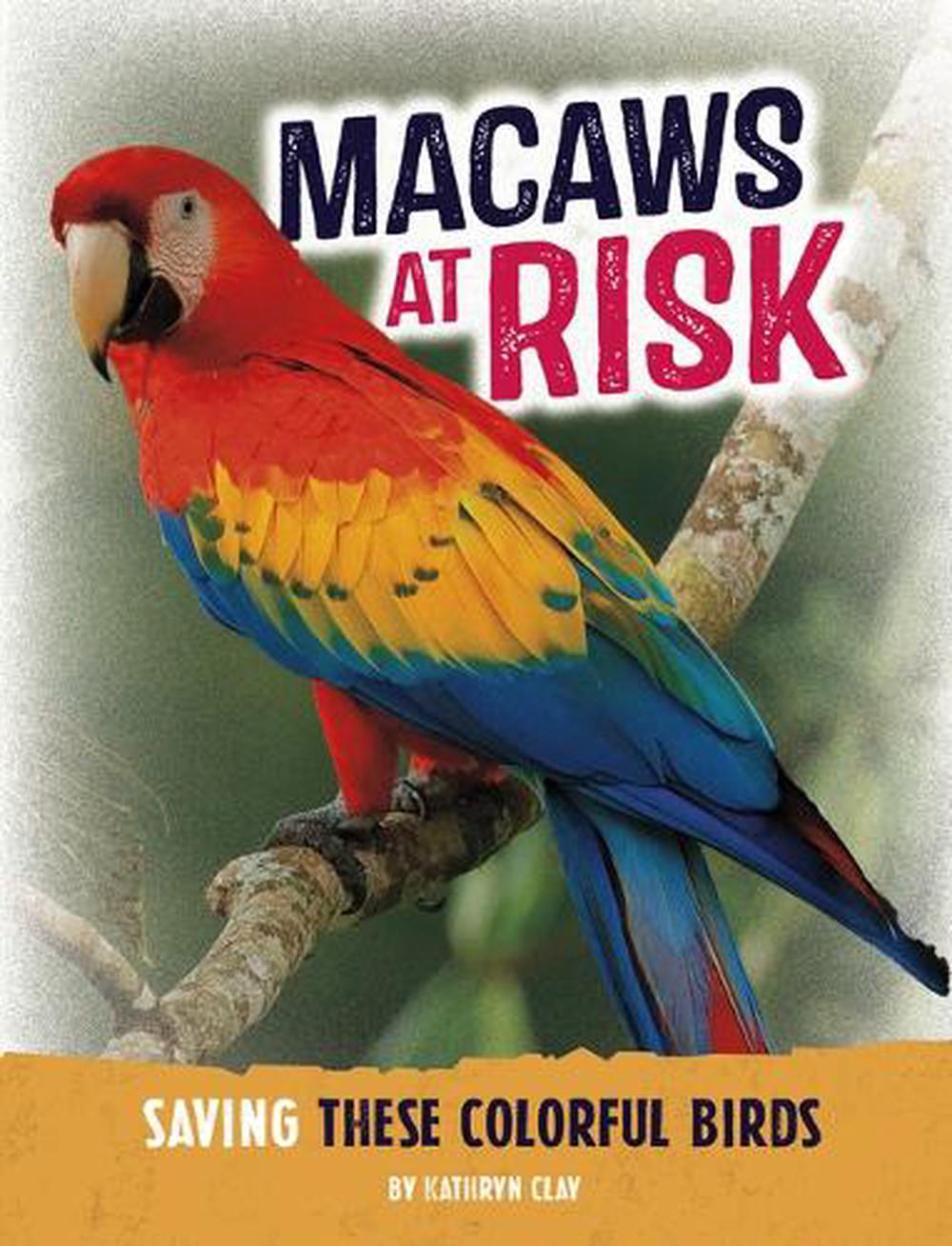 Animals at Risk Macaws by Kathryn Clay, Paperback, 9798875221828 | Buy ...