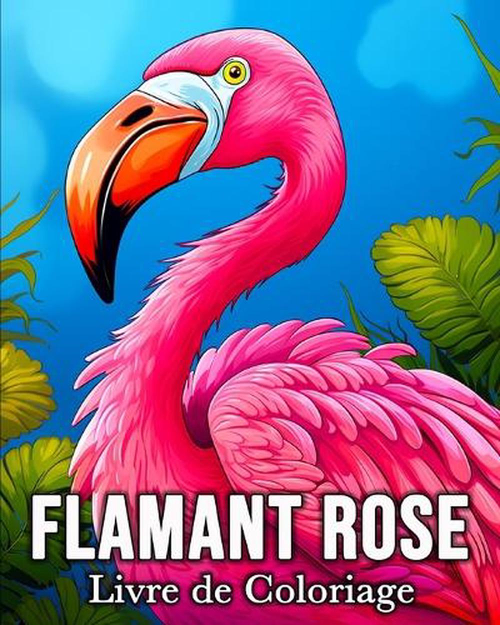 Flamant Rose Livre de Coloriage by Mandykfm Bb, Paperback, 9798880654680 | Buy online at The Nile