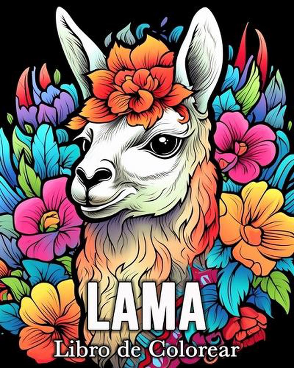Llama Libro de Colorear by Mandykfm Bb, Paperback, 9798881396169 | Buy ...