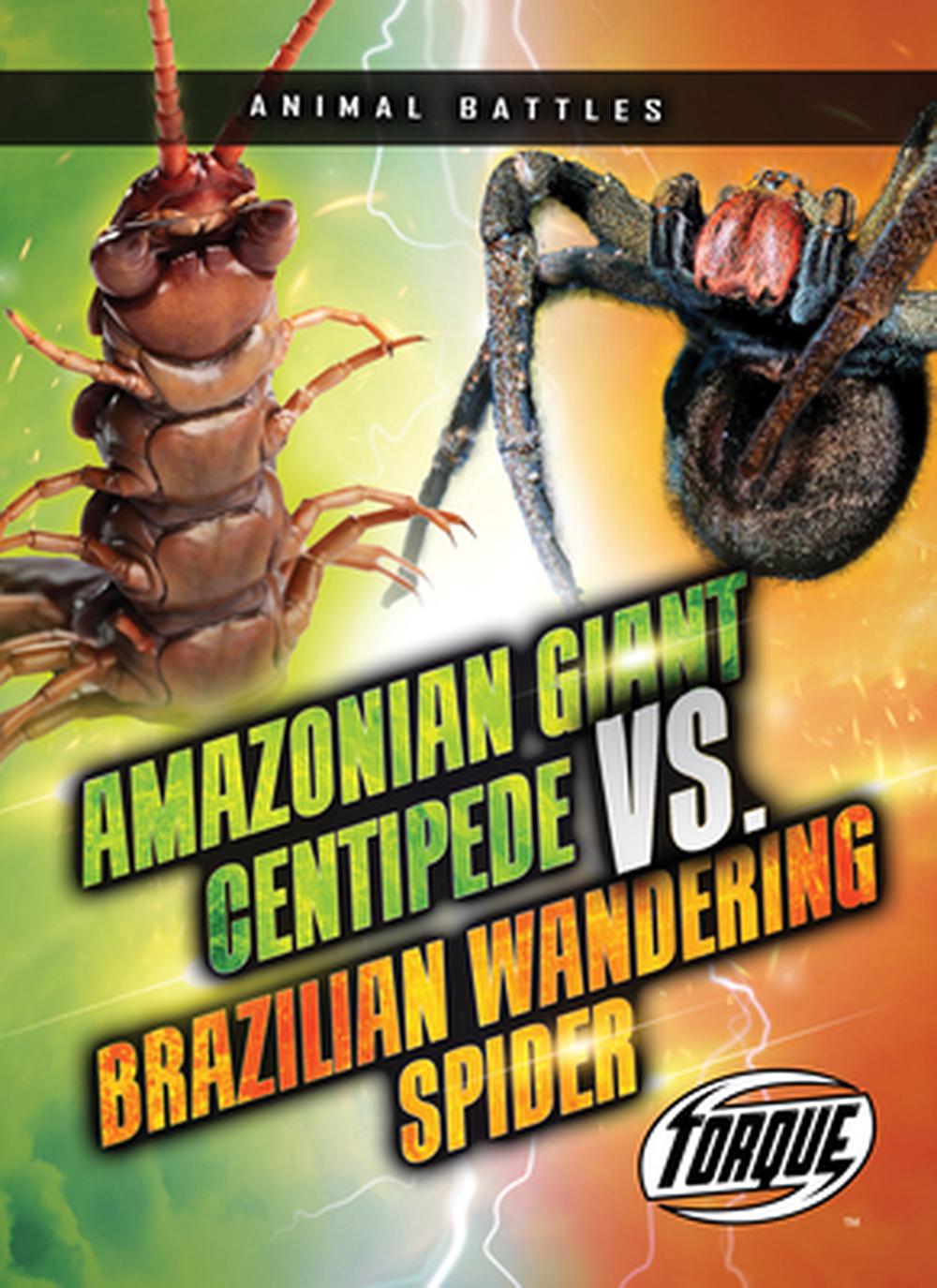 Amazonian Giant Centipede vs. Brazilian Wandering Spider by Nathan ...