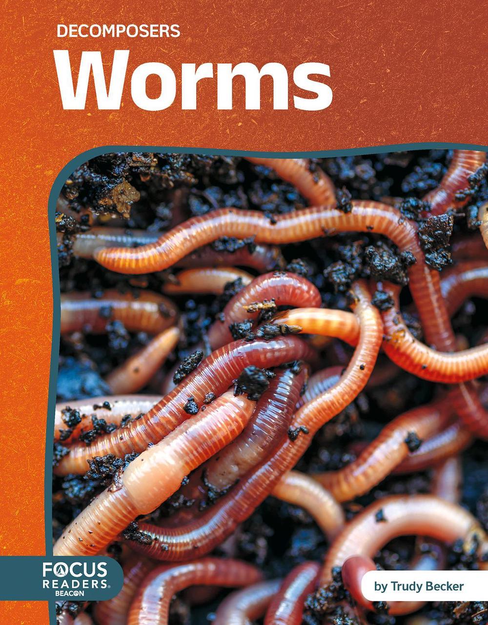 Weird Worms Worm Watch Lab
