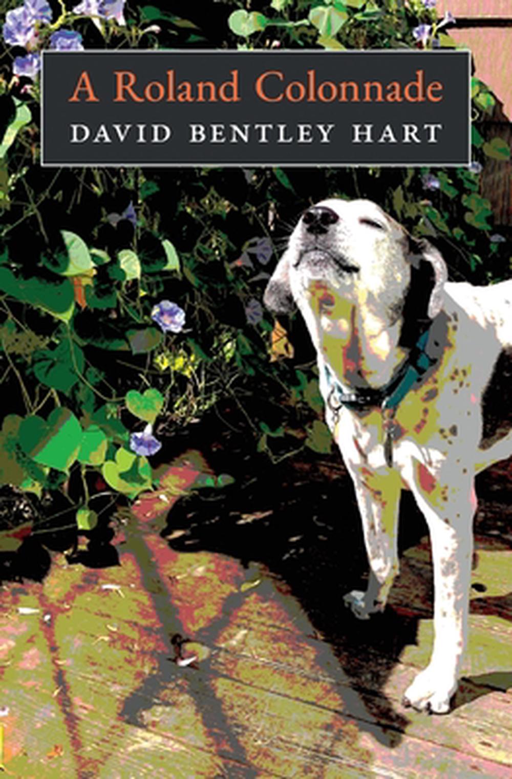 A Roland Colonnade by David Bentley Hart, Paperback, 9798892801287 ...