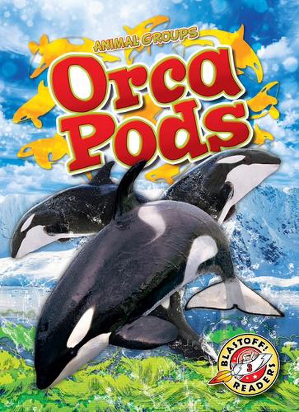 Orca Pods by Rachel Grack, Hardcover, 9798893045147 | Buy online at The ...