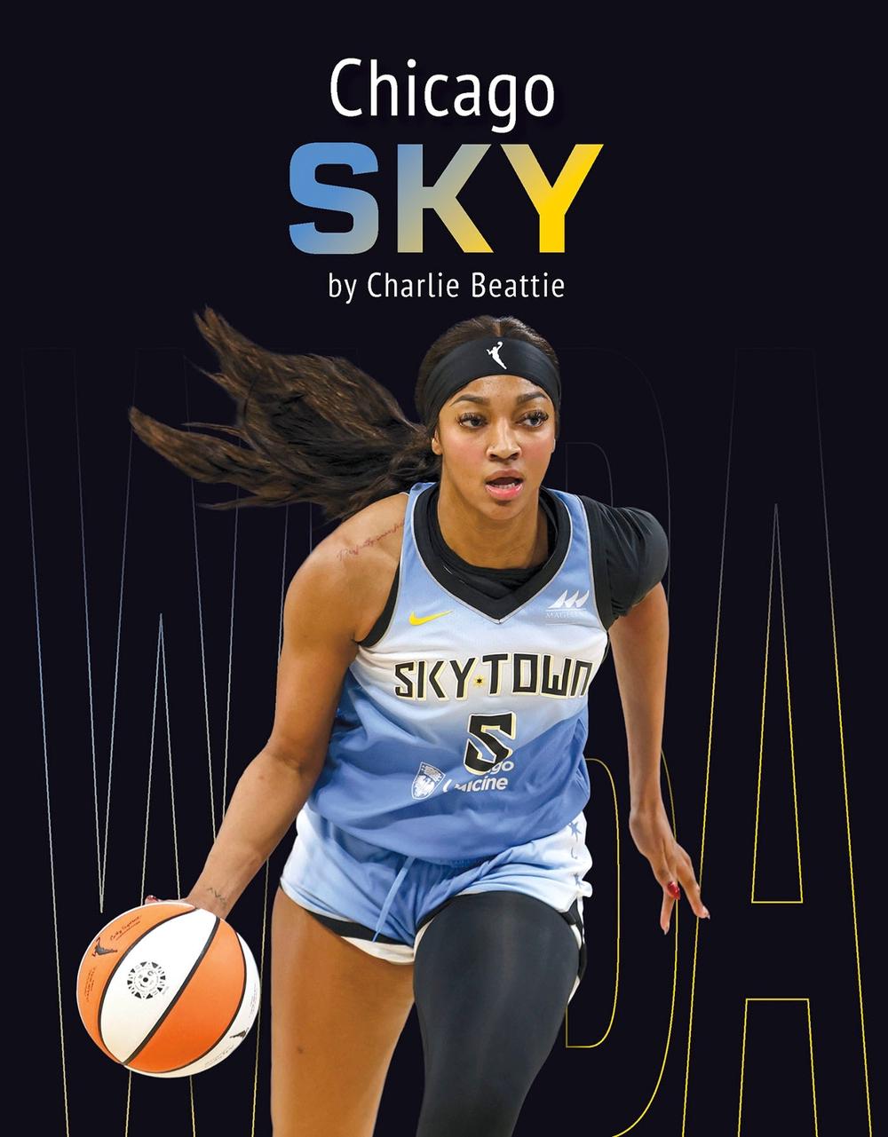 Chicago Sky by Charlie Beattie, Hardcover, 9798894690100 | Buy online ...