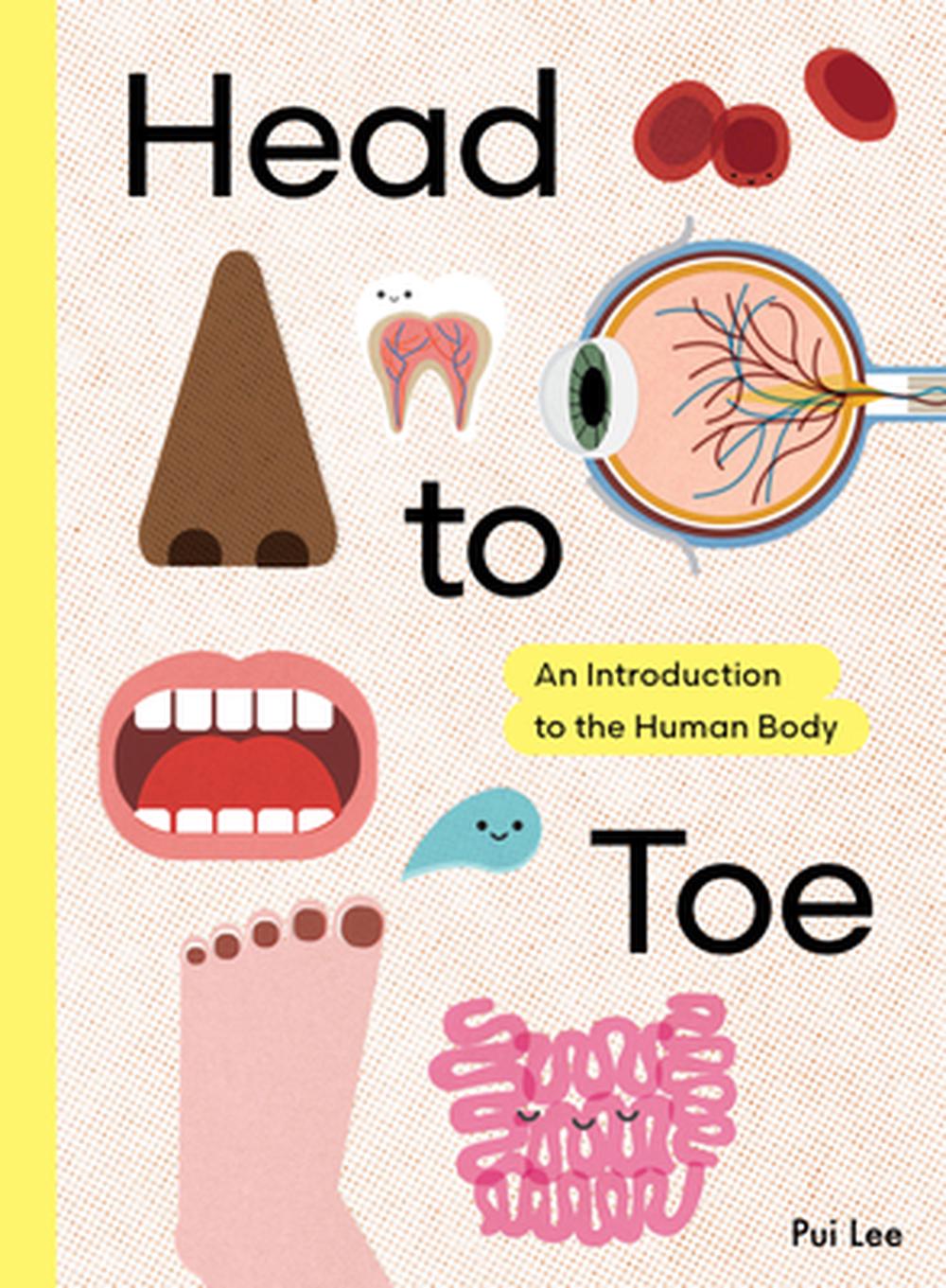 Head to Toe: An Introduction to the Human Body by Pui Lee, Hardcover ...