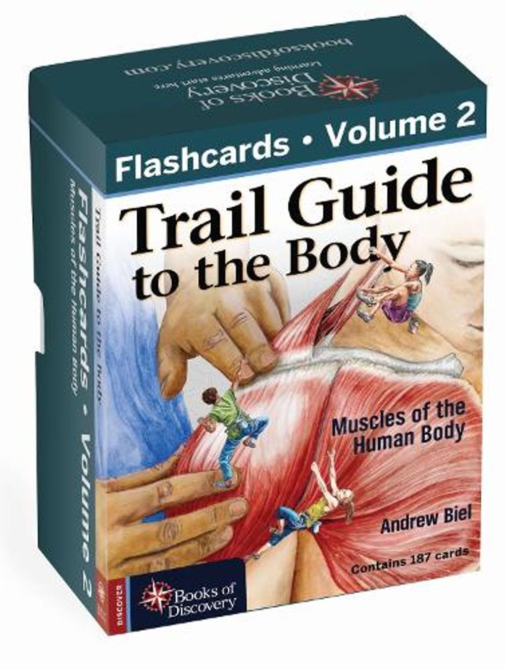 Trail Guide to the Body, Flashcards Volume 2 by Andrew Biel, Cards ...