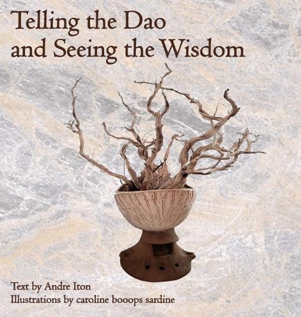 Telling the Dao and Seeing the Wisdom by Andre Iton, Hardcover ...